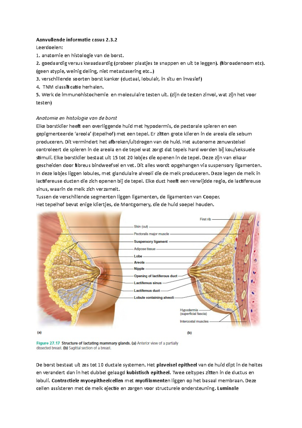 Aanvullende informatie casus 2 - 3 Leerdoelen: 1. anatomie en histologie van de borst. 2 ...