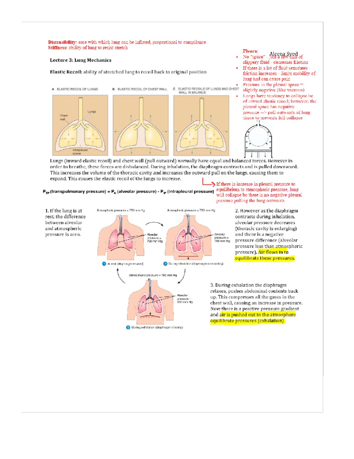 Physiology - Lung Mechanics (Gashev) - Distensibility: ease with which ...