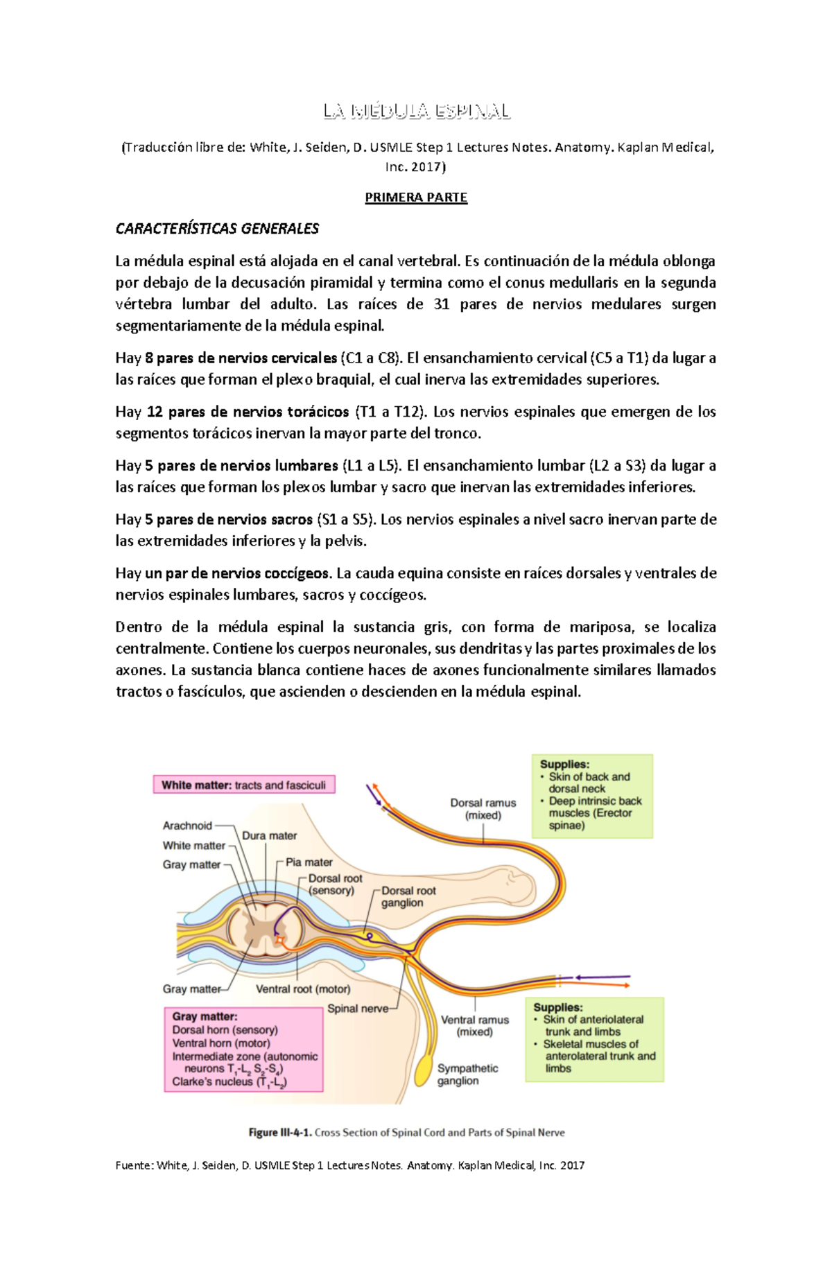 LA Médula Espinal Parte 1 - (TraducciÛn libre de: White, J. Seiden, D ...