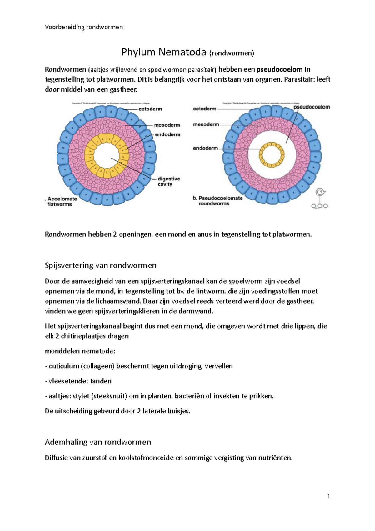 Phylum Nematoda rondwormen 4 - Voorbereiding rondwormen Phylum Nematoda ...