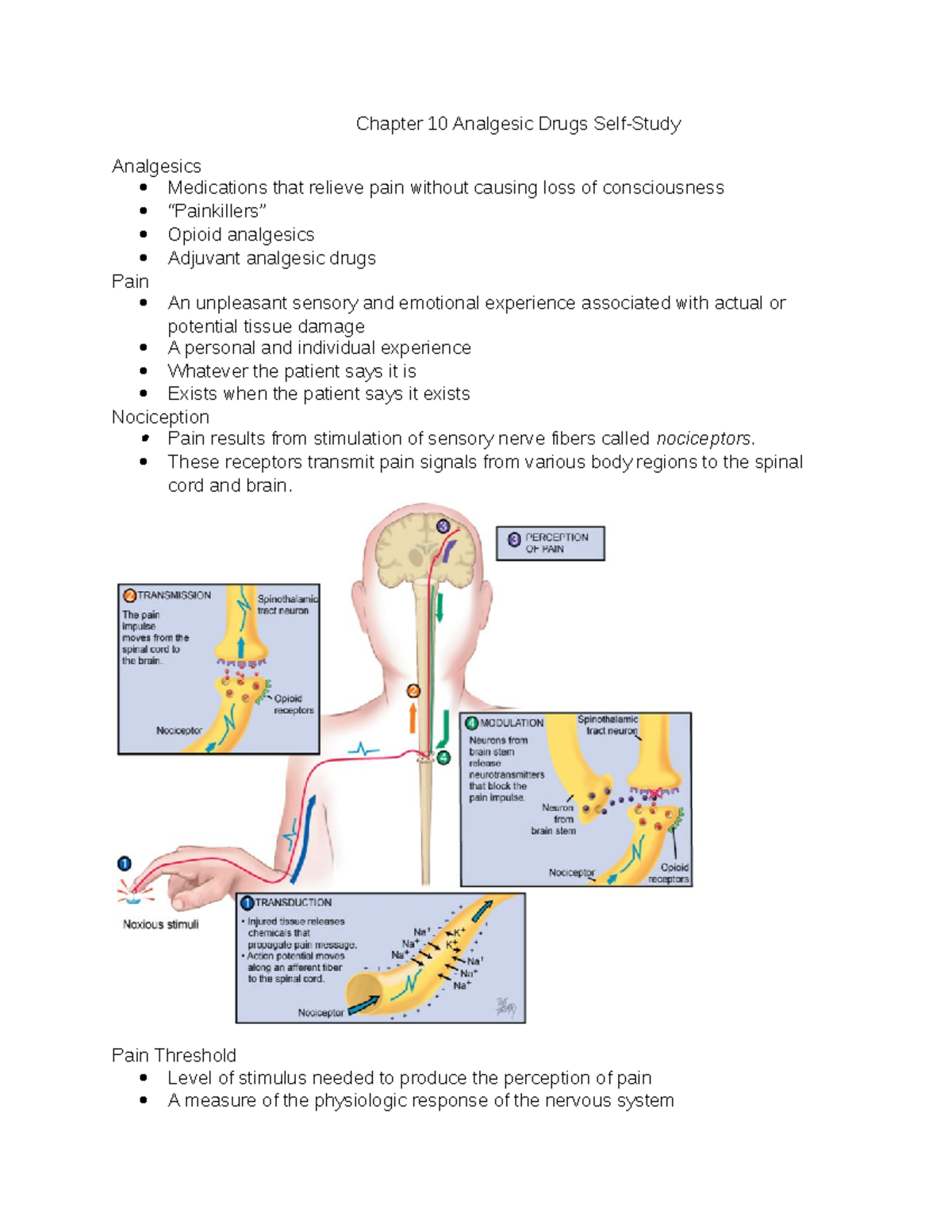 Chapter 10 analgesic drug - Chapter 10 Analgesic Drugs Self-Study ...