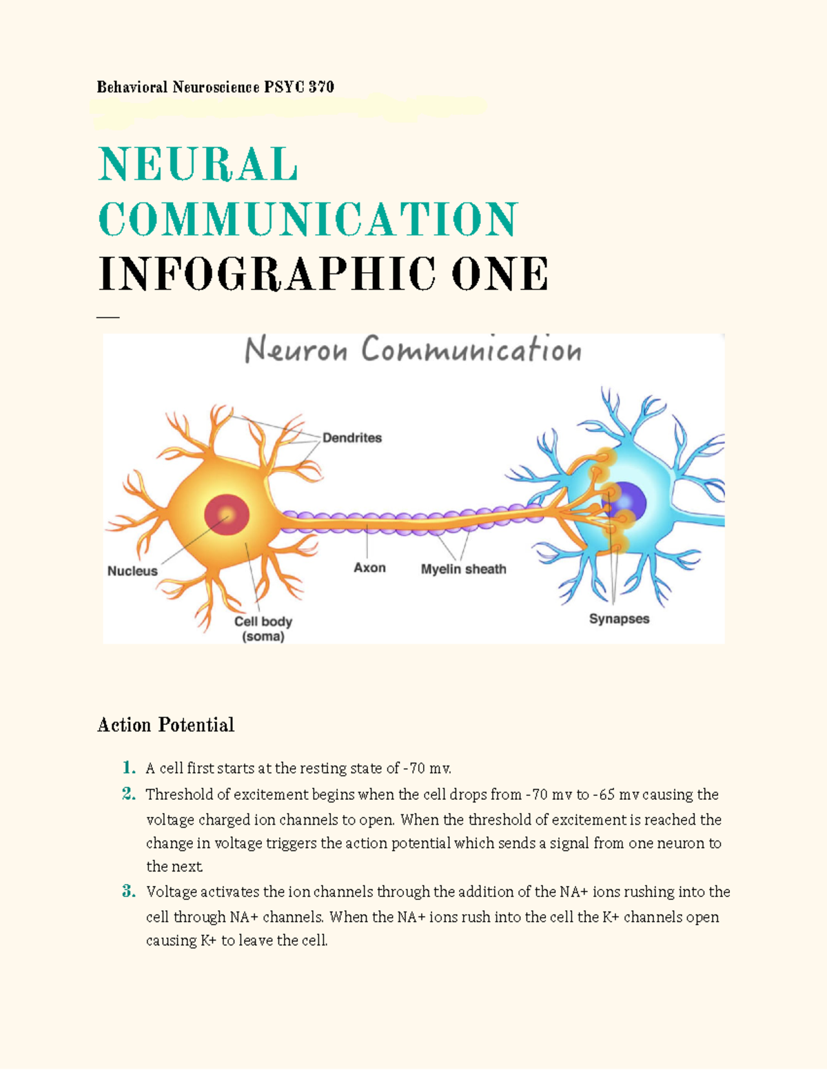 Neural Communication Notes - Behavioral Neuroscience PSYC 370 Mckenna ...