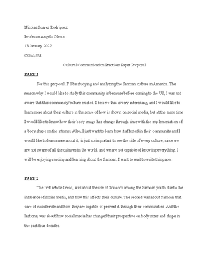 Individual Reflection 1- Conception to Visualization - Nicolas Suarez ...