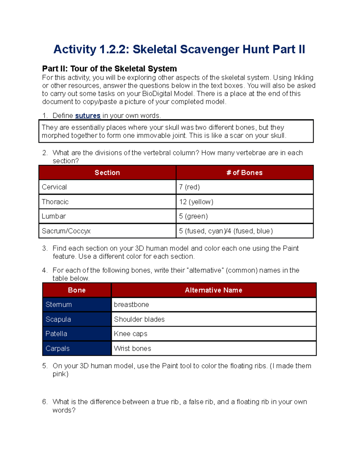 1.2.2 Skeletal Scavenger Hunt Part II - Activity 1.2: Skeletal ...