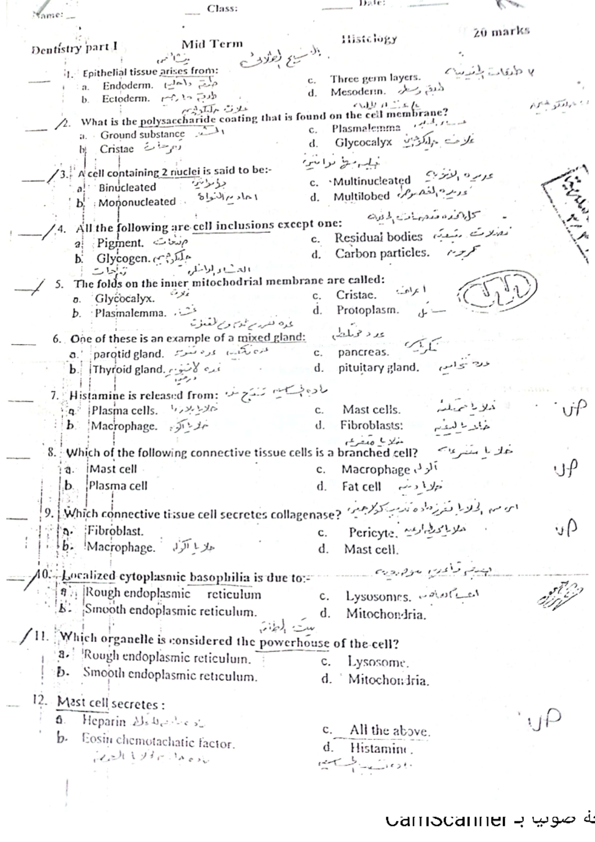 Histology questions - Studocu