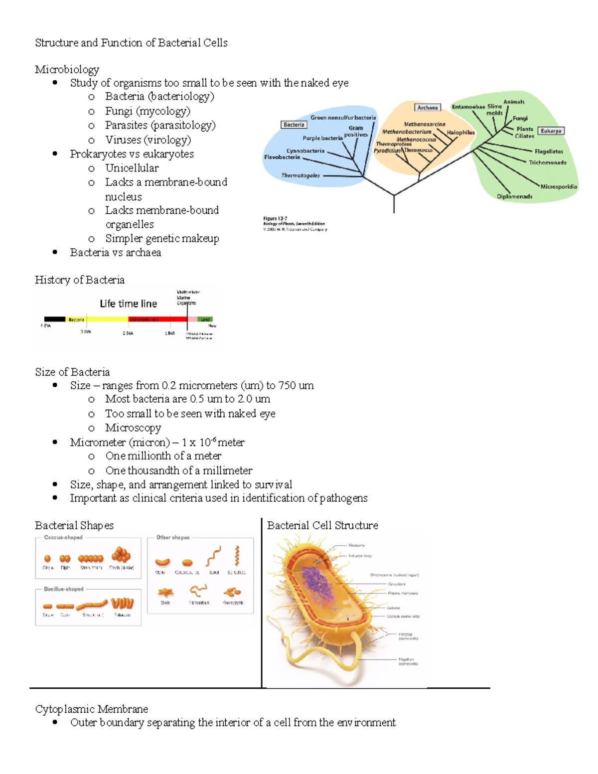 Combined Exam 1 - Structure and Function of Bacterial Cells ...