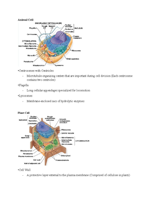 Brine Shrimp Lab Report - Effects of Environment: Hatching Rate of Sea ...