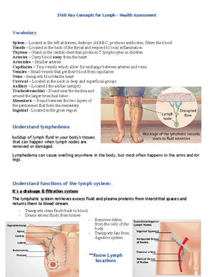 3160Respiratory Key Concepts - Crepitus on a respiratory exam AIR IS ...
