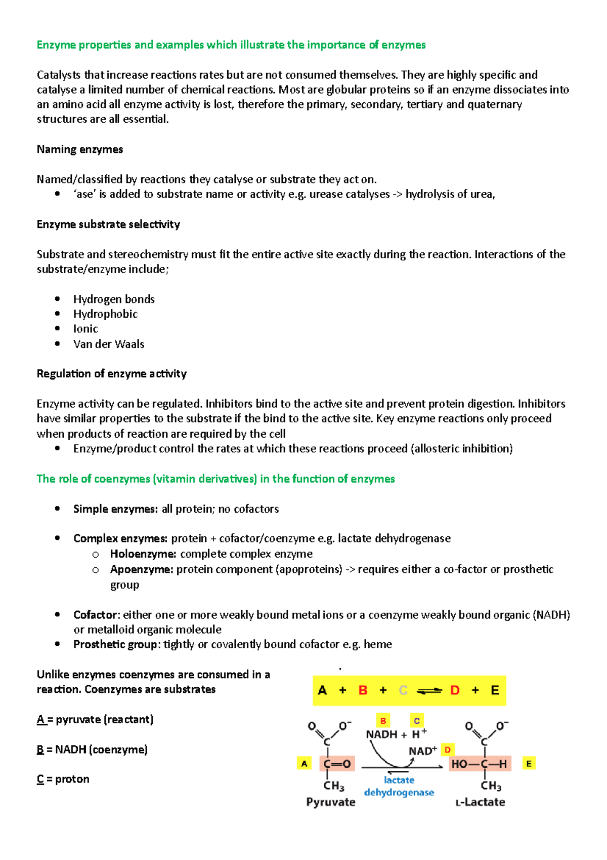 Week 5- enzymes - Summary notes - Enzyme properties and examples which ...