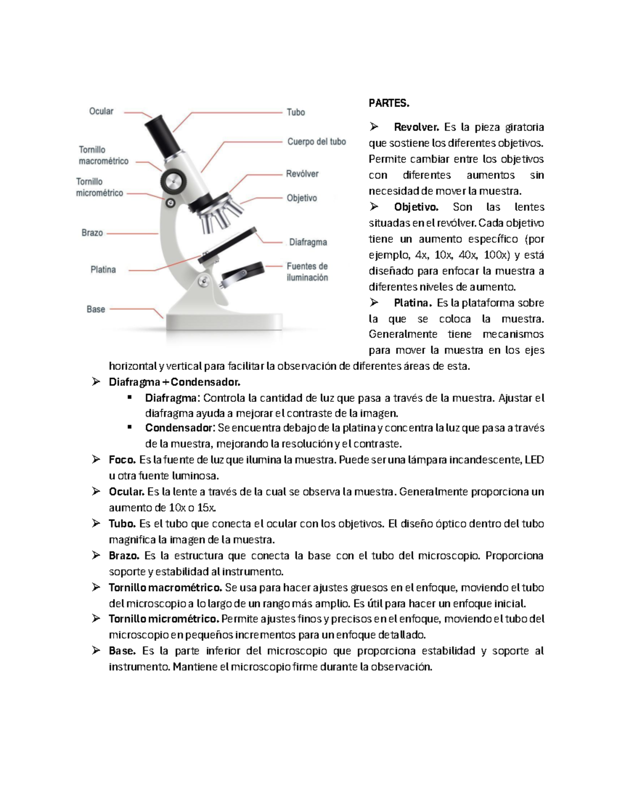 Partes del microscopio - PARTES. Revolver. Es la pieza giratoria que ...