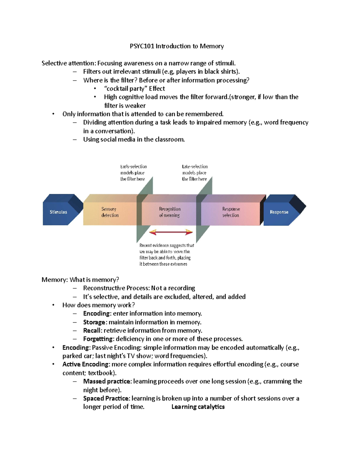 PSYC101 Introduction to Memory - PSYC101 Introduction to Memory Selective attention: Focusing ...