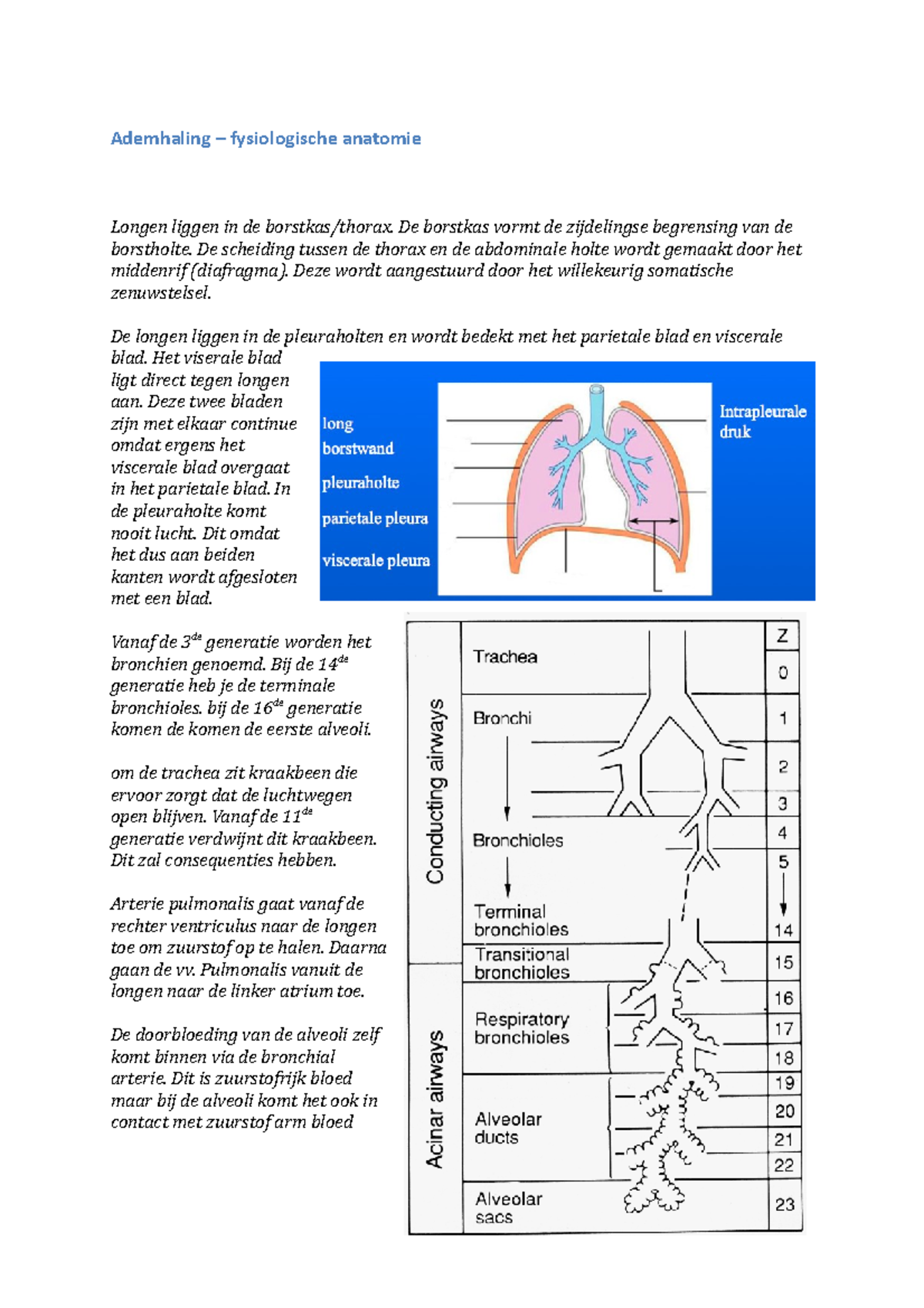 Samenvatting - college alles - Ademhaling fysiologische anatomie Longen ...