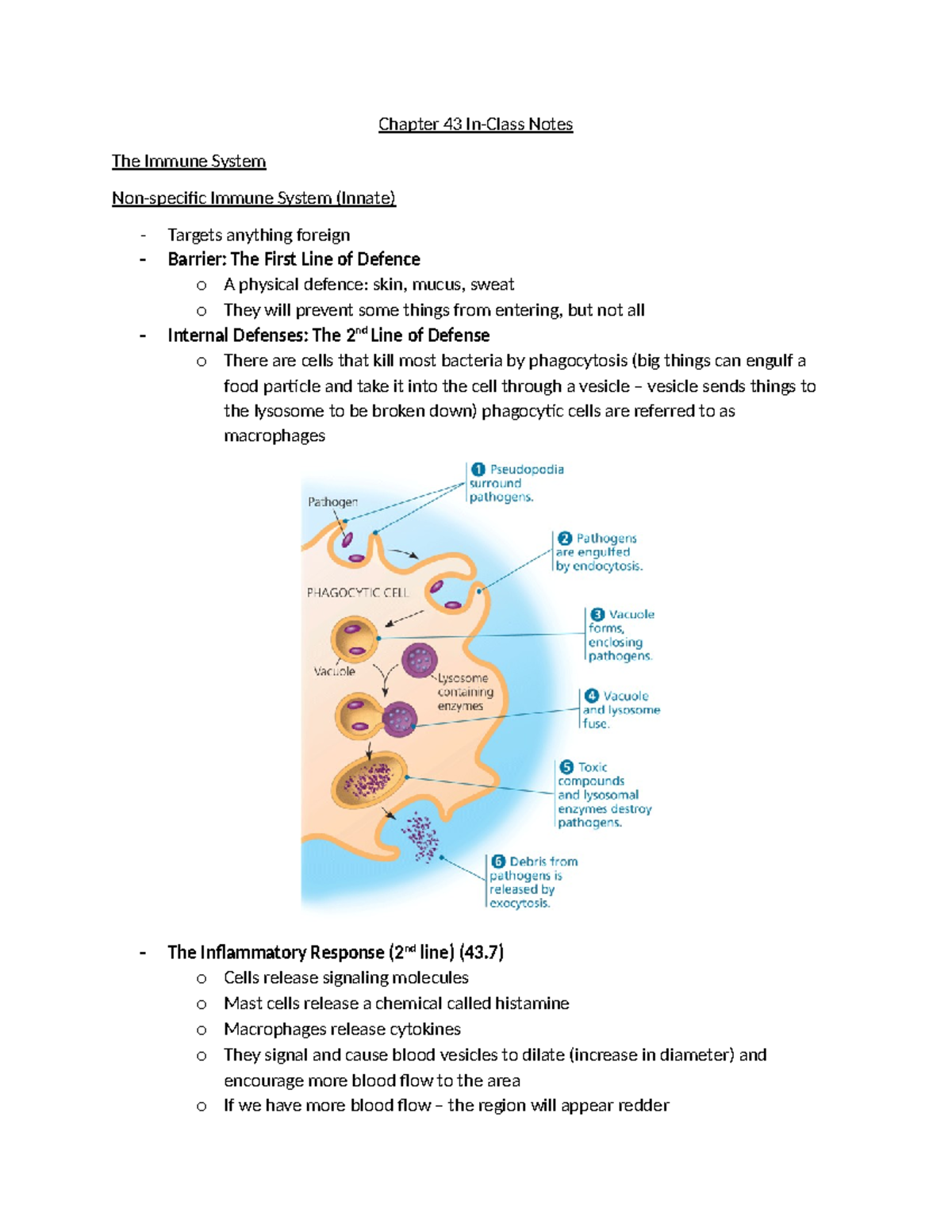 Chapter 43 In-Class Notes - Chapter 43 In-Class Notes The Immune System ...