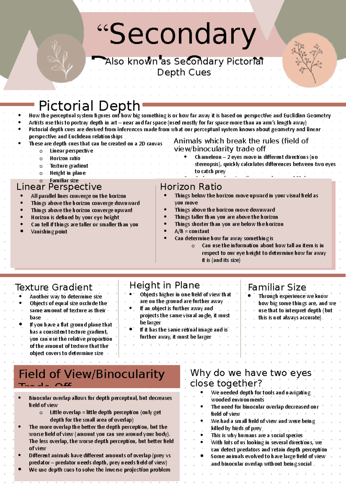 Pictorial Depth Cues - Also known as Secondary Pictorial Depth Cues ...