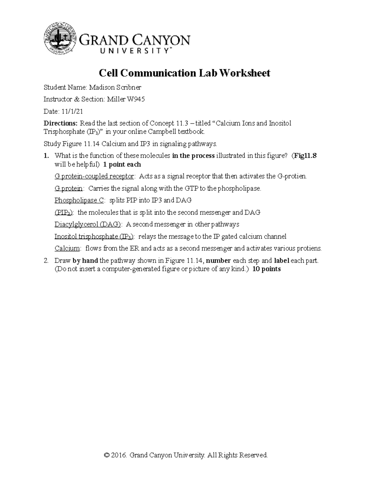 BIO-181L Cell Communication Worksheet - BIO-181 - GCU - Studocu