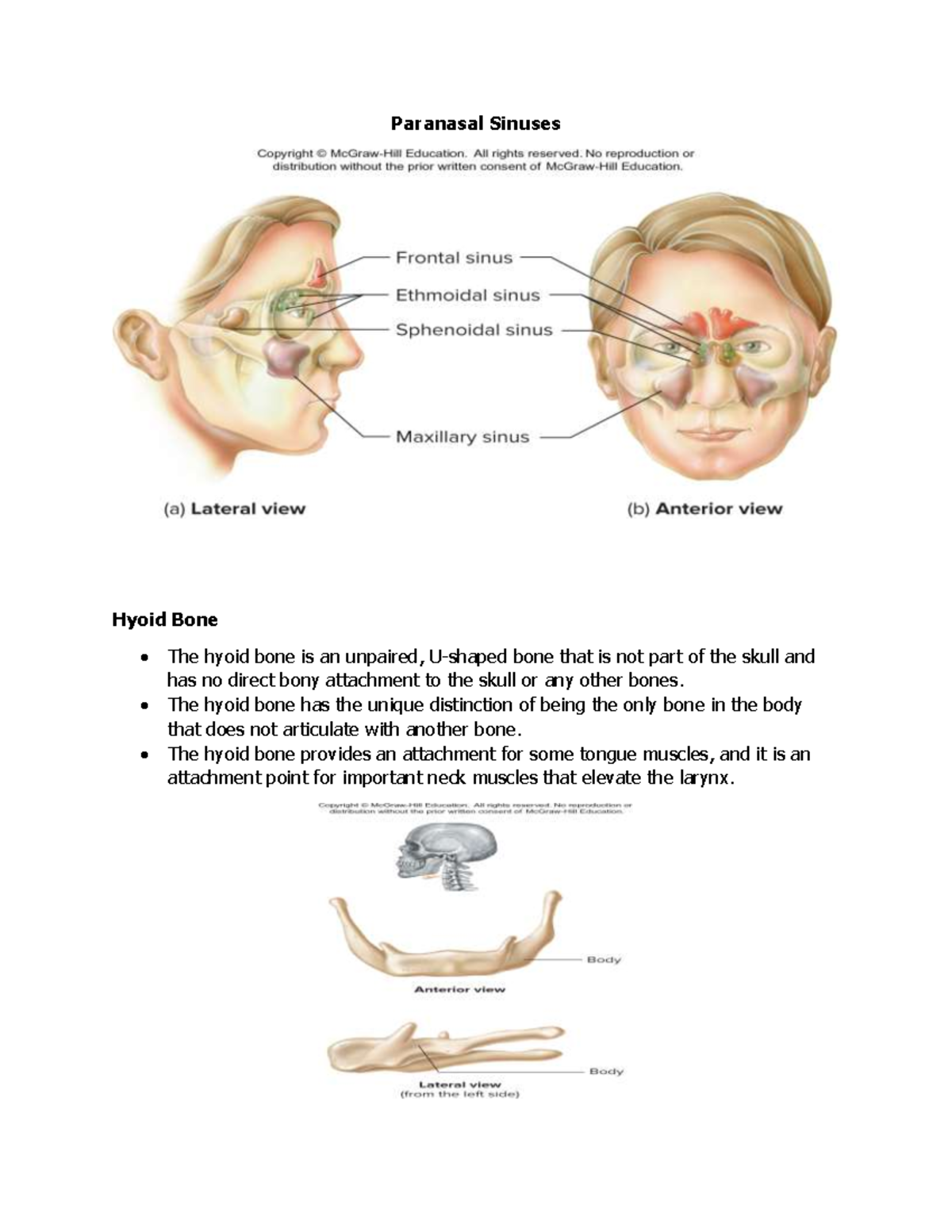 Biology - STEM-7 - Paranasal Sinuses Hyoid Bone The hyoid bone is an ...