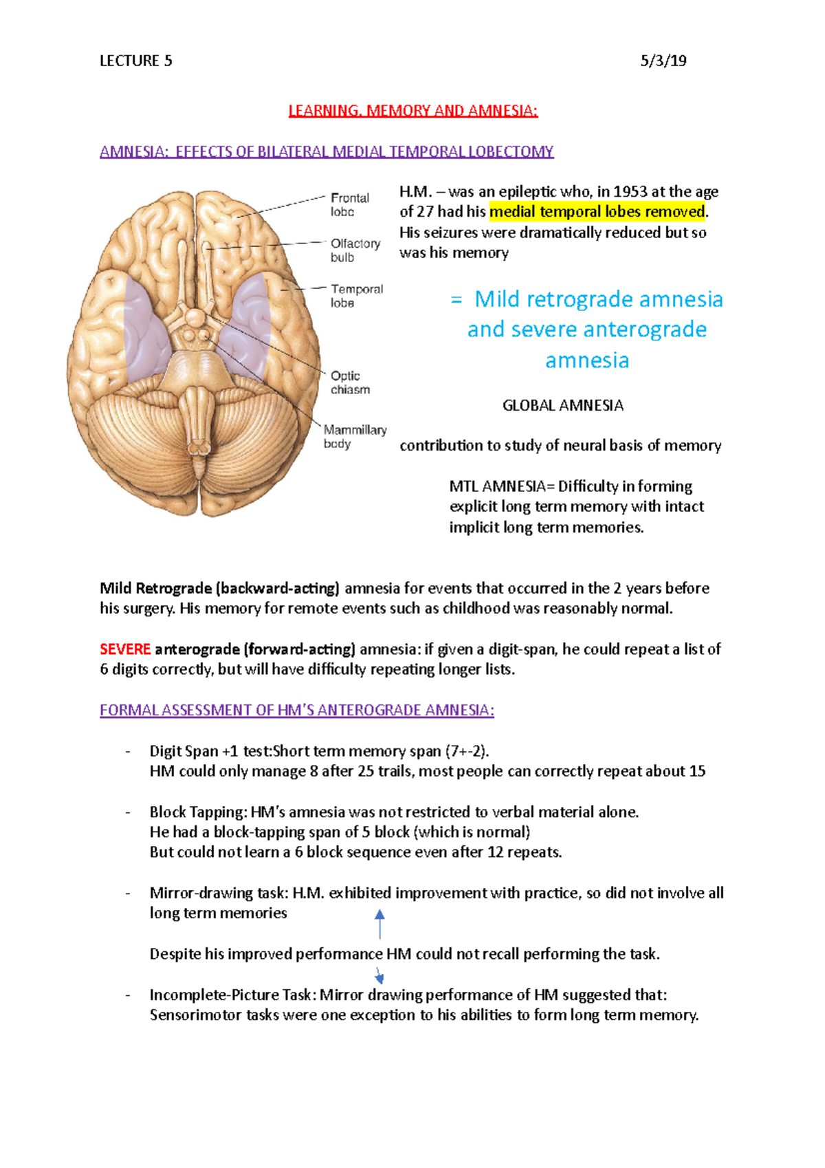 L5- Learning Memory - lecture - LEARNING, MEMORY AND AMNESIA: AMNESIA ...