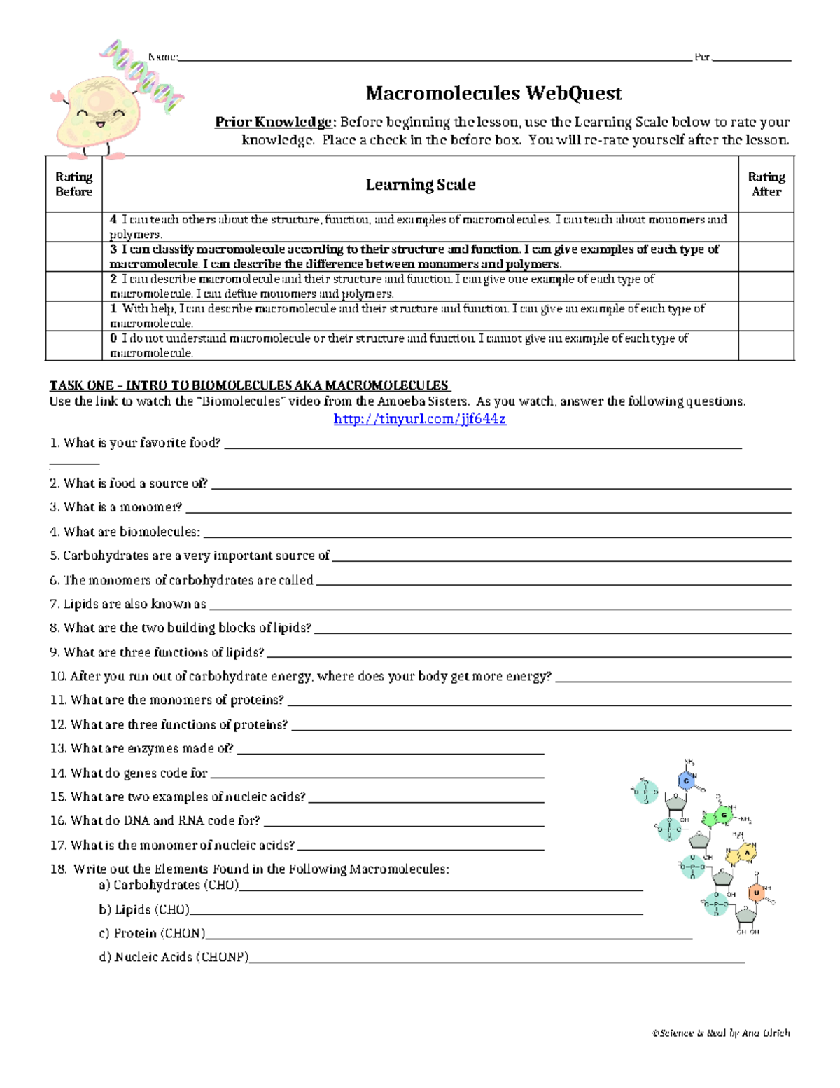 Eleanor Himes - Macromolecules Web Quest Student Handout - Name: Per. Macromolecules WebQuest ...