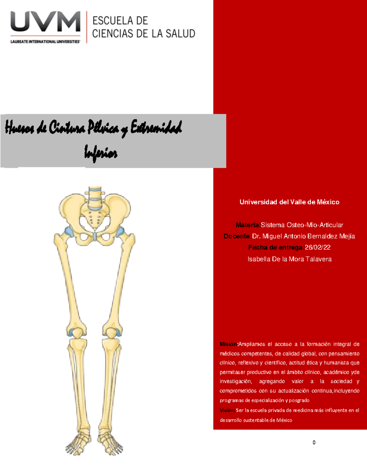 Huesos de Cintura Pélvica y Extremidad Inferior - Huesos de Cintura ...