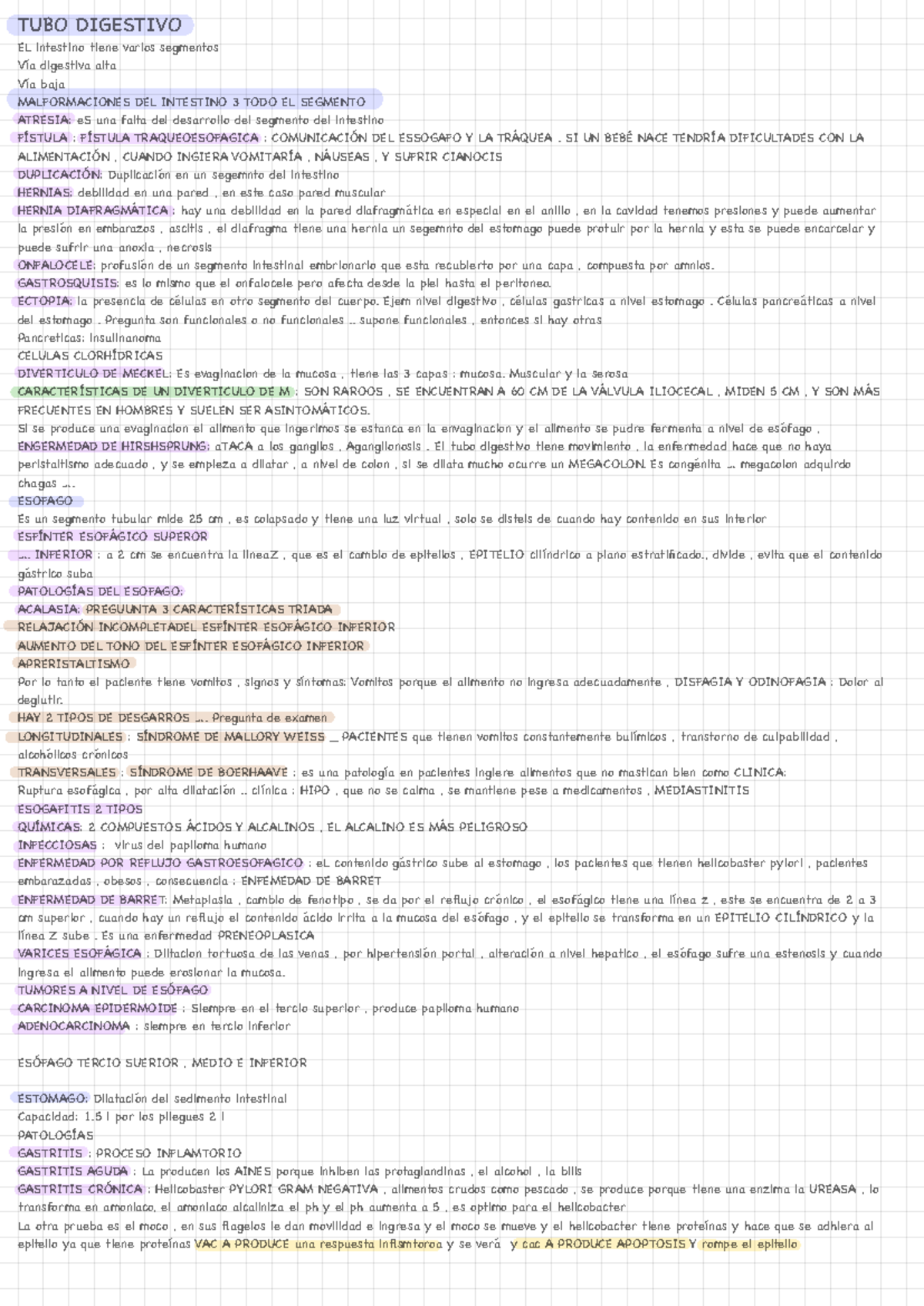 Resumen tubo digestivo patologia - TUBO DIGESTIVO EL intestino tiene ...