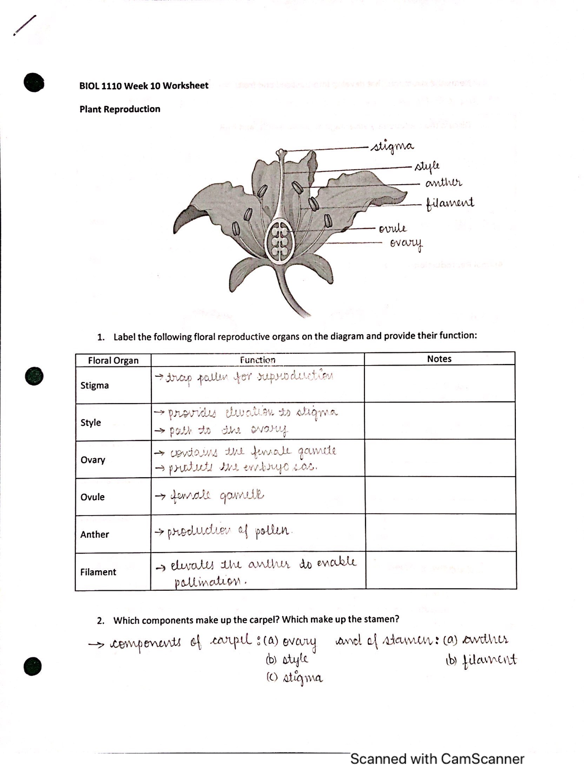 Biol 1110- Plant reproduction - BIOL 1110 - Studocu