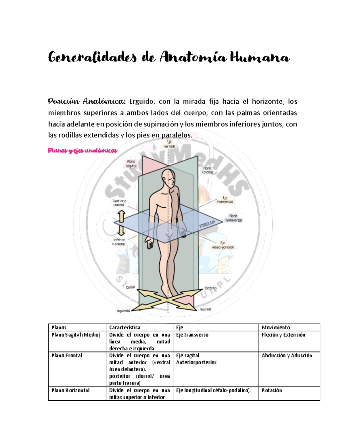 Generalidades de Anatomía Humana y Artrologia - Generalidades de ...