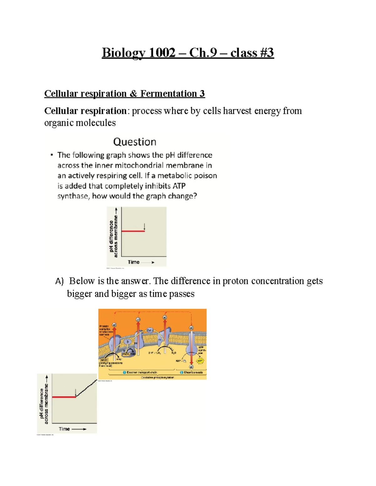 Ch 9-10 class 3 - course notes - Biology 1002 – Ch – class Cellular ...