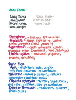 NPTE Sample Study Plan 8 and12 - Sample Study Plans (8 week & 12 week ...