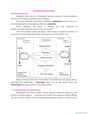 Chromatography - Chromatographic Theory, Optimization of ...
