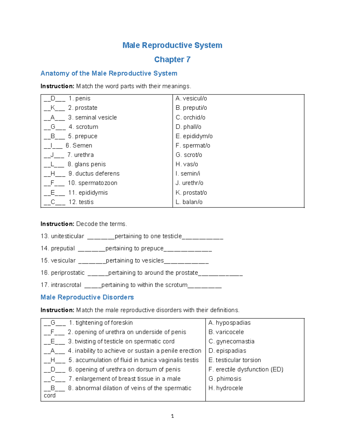 Week6 assignment - Medical terminology - Male Reproductive System ...
