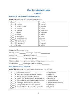 AHP106 Wk4 Virtual Lab - Virtual Lab Case Studies: Blood and Immunity ...
