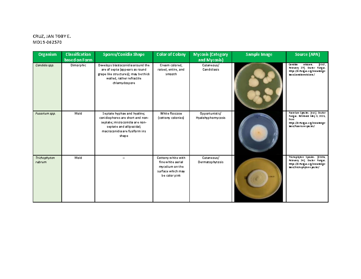 Micro - Activity 9 MEDICAL APPROACH. Medical - CRUZ, JAN TOBY E. MD19 ...