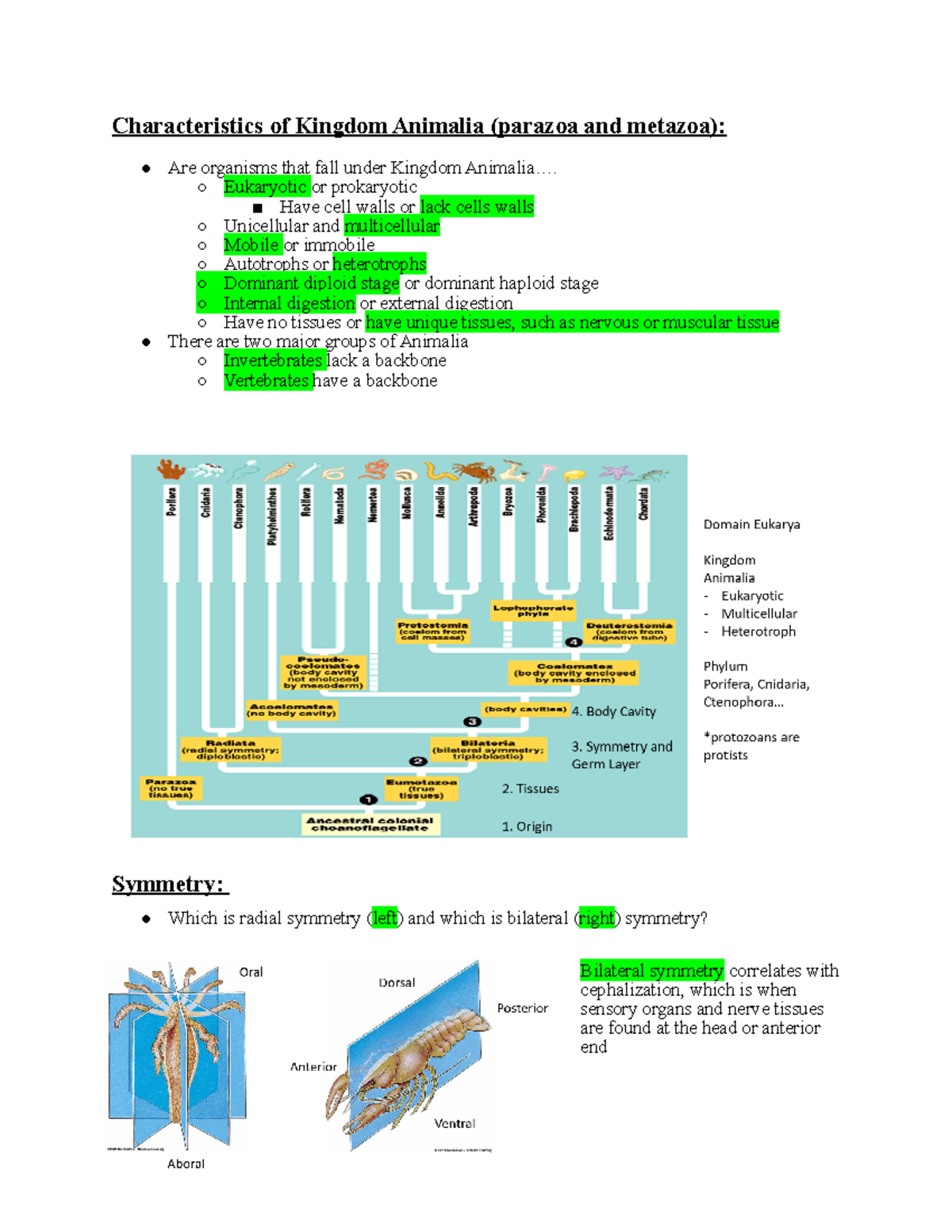 BSC1011 WK8 HO Nicole Bui-Poulakos - Characteristics of Kingdom ...