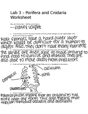 Lab 5 Annelid Lab - Worksheet for zoology - Segmented Worms Phylum ...