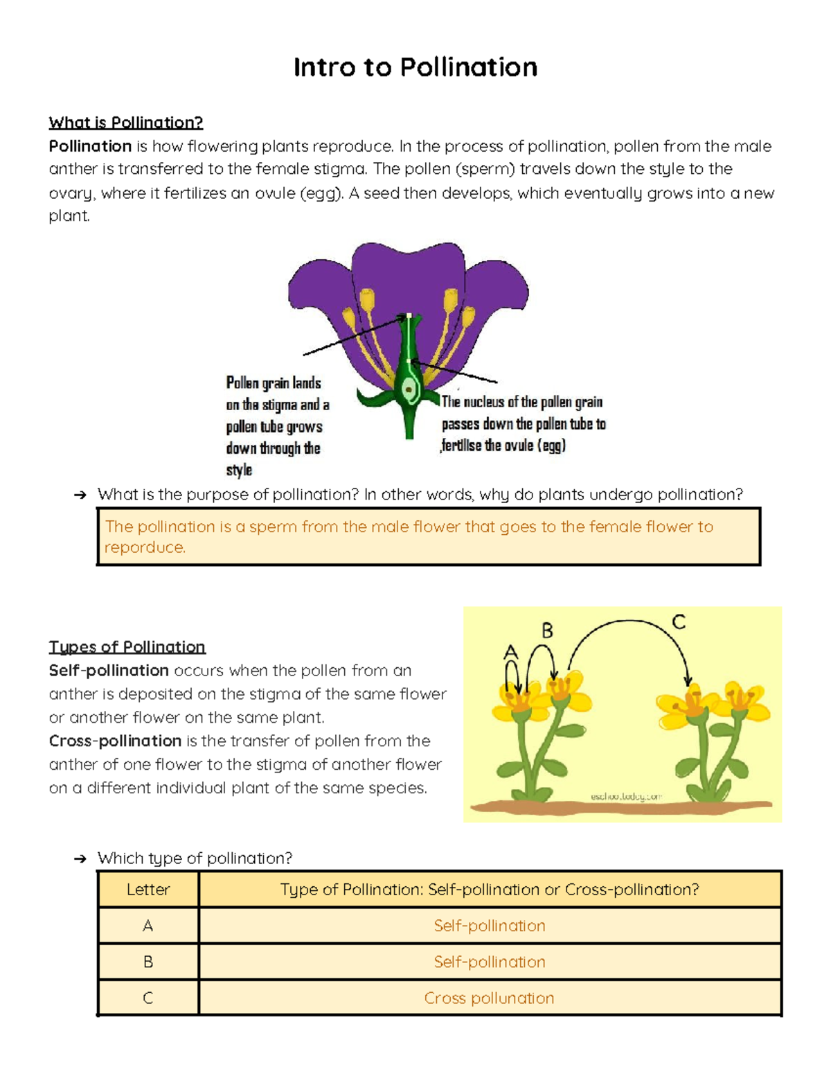 Darsh Patel - #060 Intro to Pollination - Intro to Pollination What is Pollination? Pollination ...
