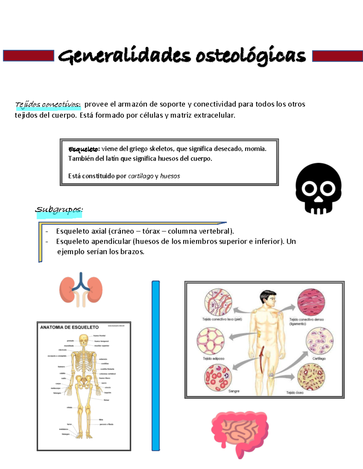Generalidades osteologicas - Warning: TT: undefined function: 32 Warning: TT: undefined function ...