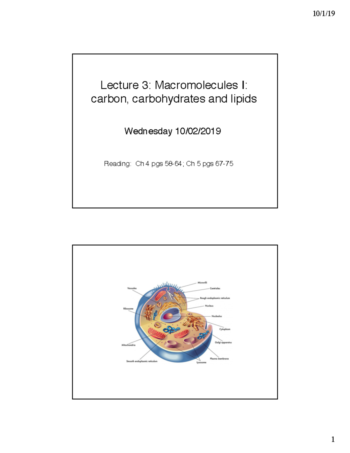 Lecture 3 - BIO 93 (Dr. T) - Lecture 3: Macromolecules I: carbon ...