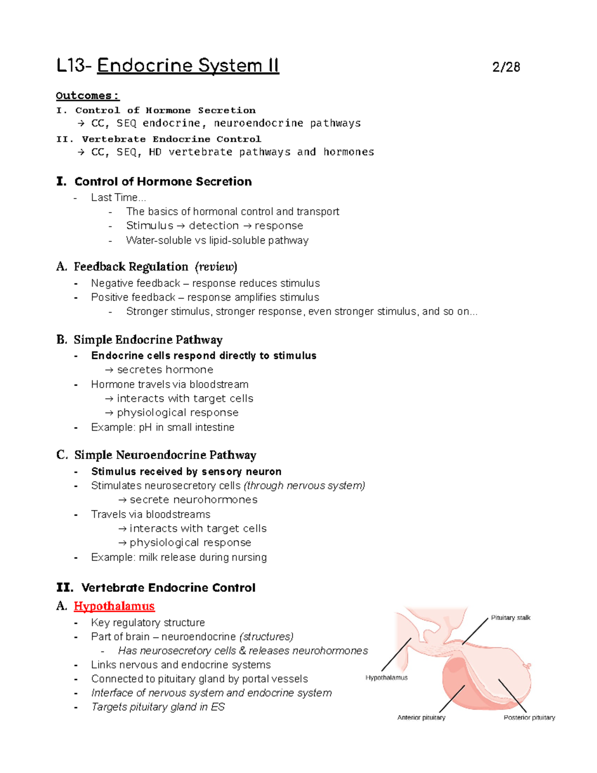 Lecture 13- Endocrine System II - L13- Endocrine System II 2/ Outcomes ...