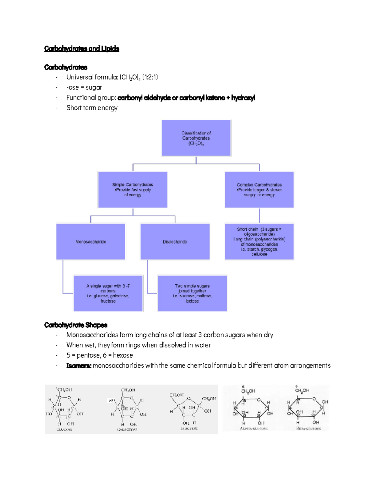 Carbohydrates and Lipids - Carbohydrates and Lipids Carbohydrates ...