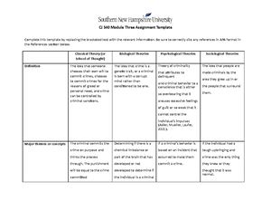 CJ 340 Module Seven Practice Activity Template - Samantha Kleopfer SNHU ...