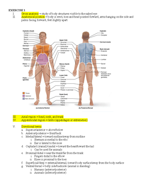 Physioex 6 - cardiovascular physiology - 🩺 physioex6 - cardiovascular ...