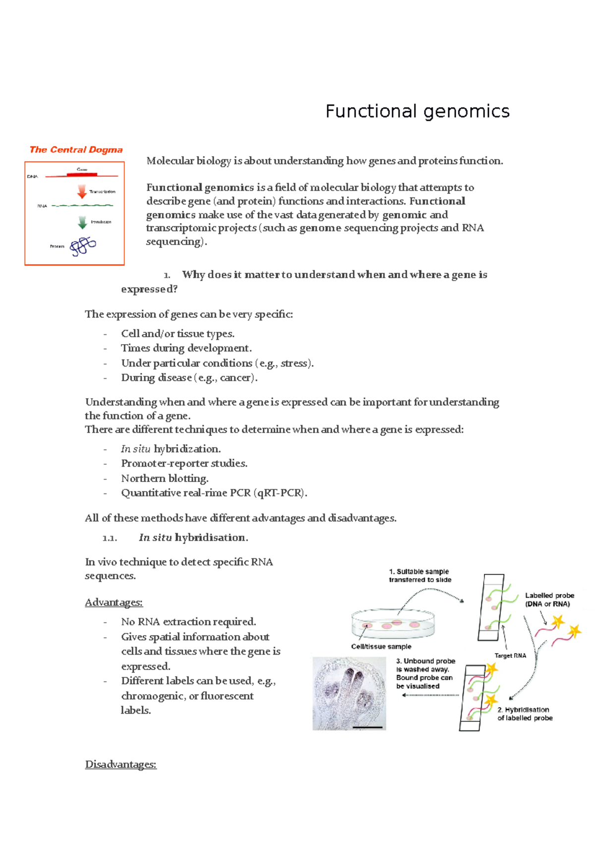 24. Functional genomics. - Functional genomics Molecular biology is ...