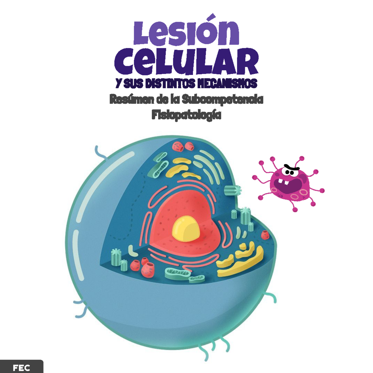 1. Lesión Celular - diapositivas - Lesión Celular Y SUS DISTINTOS ...
