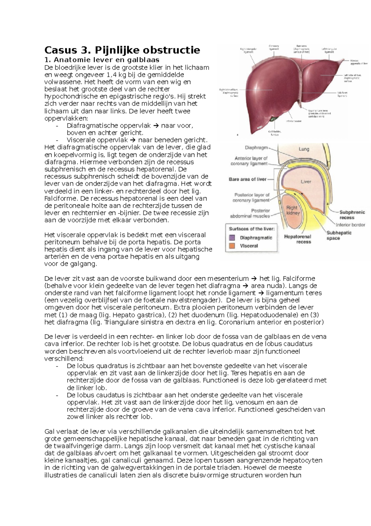 Casus 3. Pijnlijke obstructie - Casus 3. Pijnlijke obstructie 1 ...