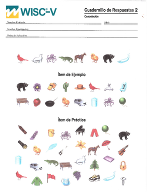 Protocolo de Registro Aplicación Escala de Wechsler de inteligencia para niños- (WISC V) - W ...