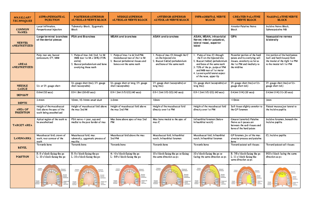 Summary Max & Mand Anesthetic Techniques - MAXILLARY TECHNIQUES ...