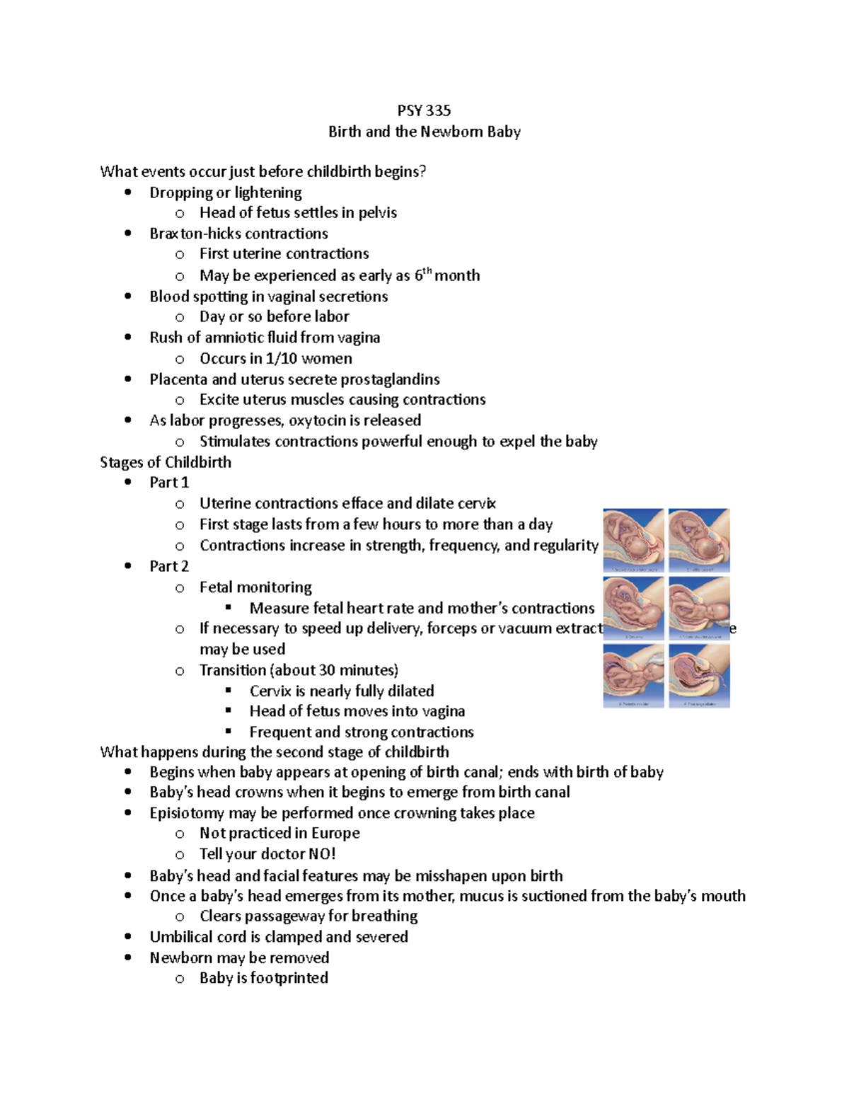 Birth and the newborn baby - PSY 335 Birth and the Newborn Baby What ...