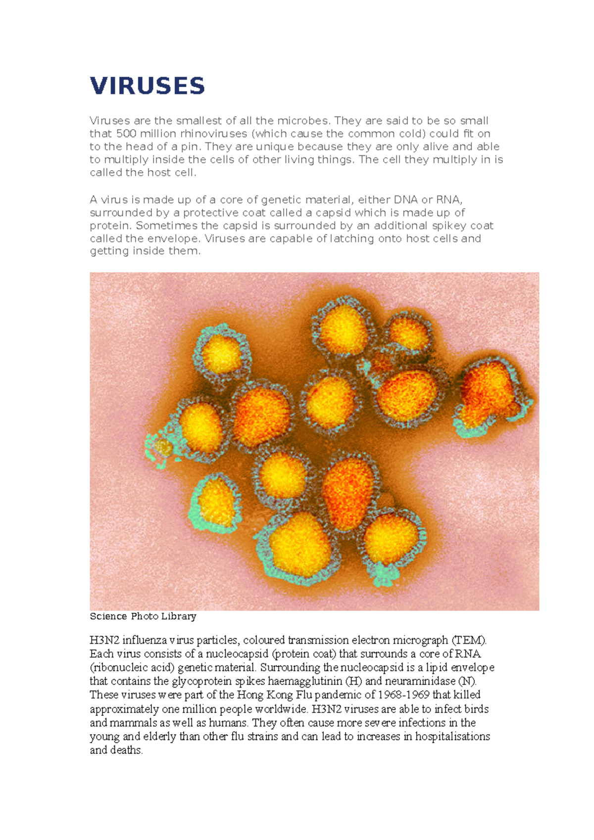 Introducing Viruses - VIRUSES Viruses are the smallest of all the ...