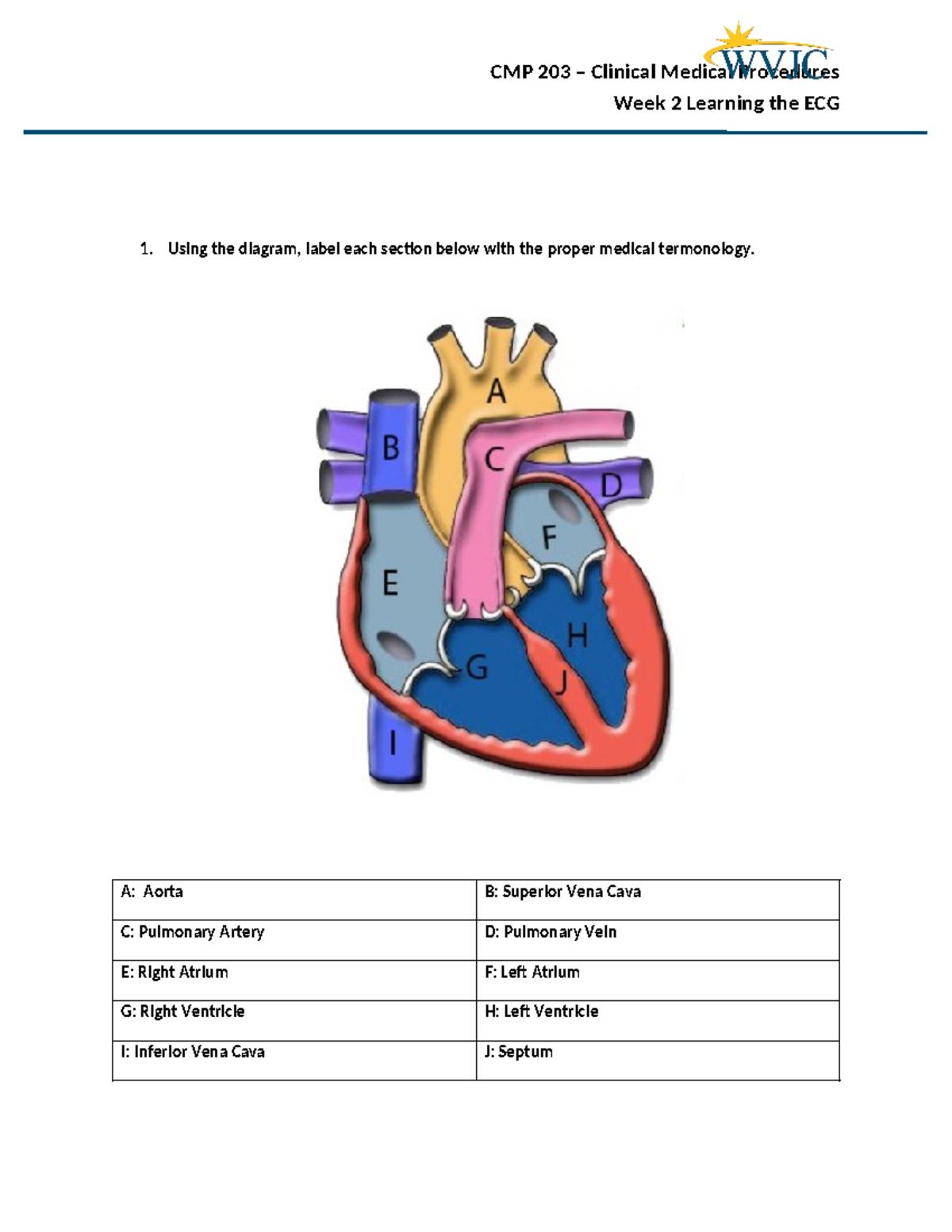 W2ECG Hannah Kronz - ECG assignments - CMP 203 – Clinical Medical ...