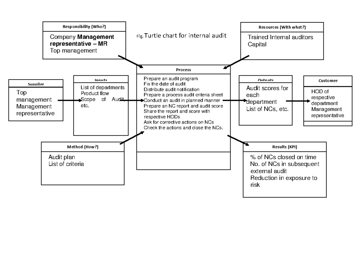 Turtle-Diagram-sample and template - Audit scores for each department ...